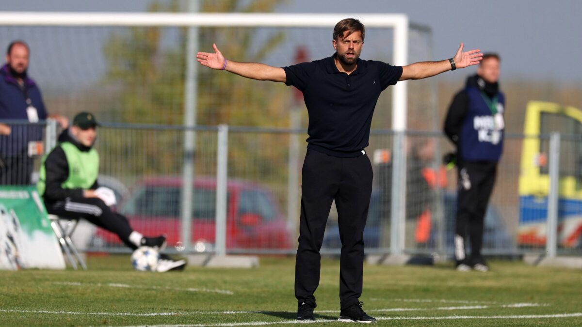 Chi è Daniele Galloppa? Il nuovo allenatore della Fiorentina dopo l ...